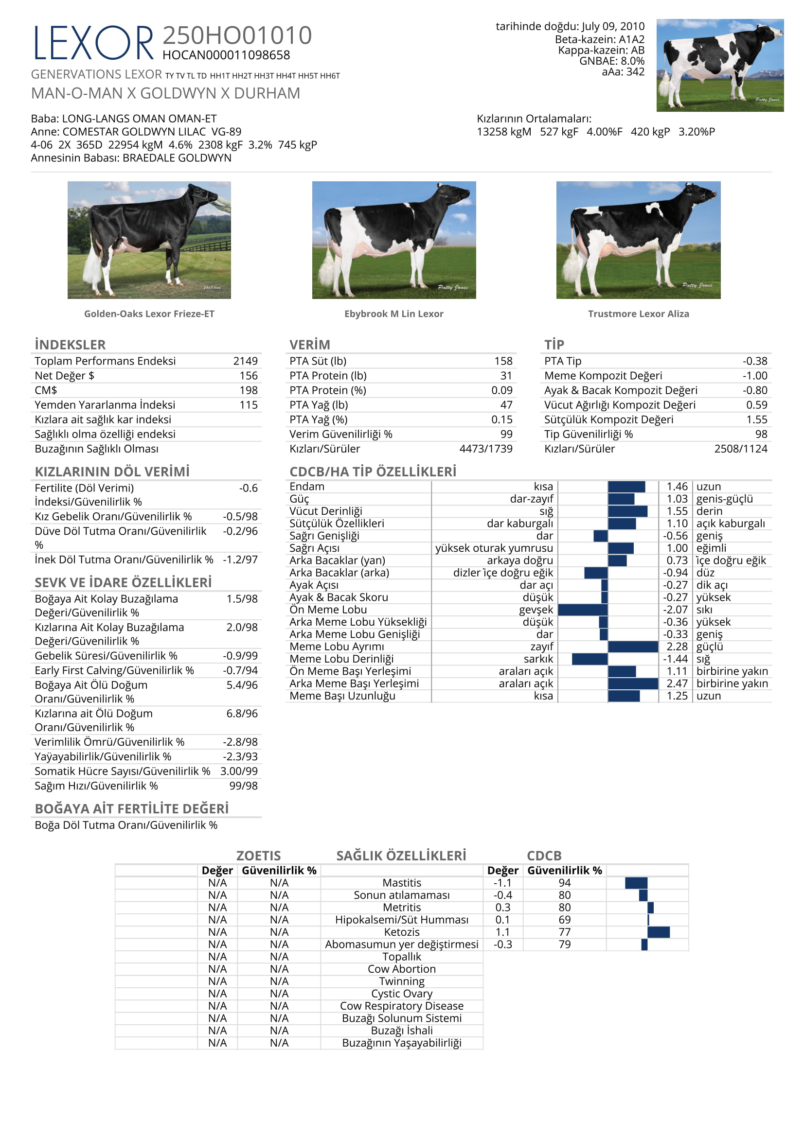 Buzağı Maması, Veteriner İlaçları, Yem Katkı, Boğa Spermaları